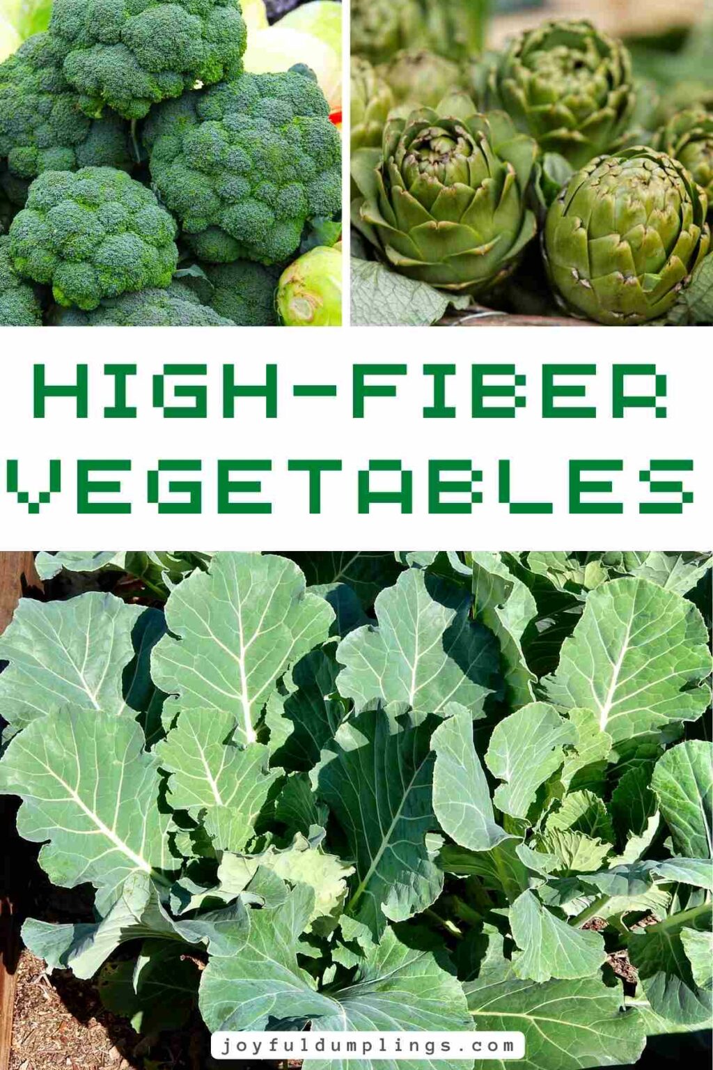 9 Ultimate High-Fiber Vegetables to Add to Your Diet » Joyful Dumplings